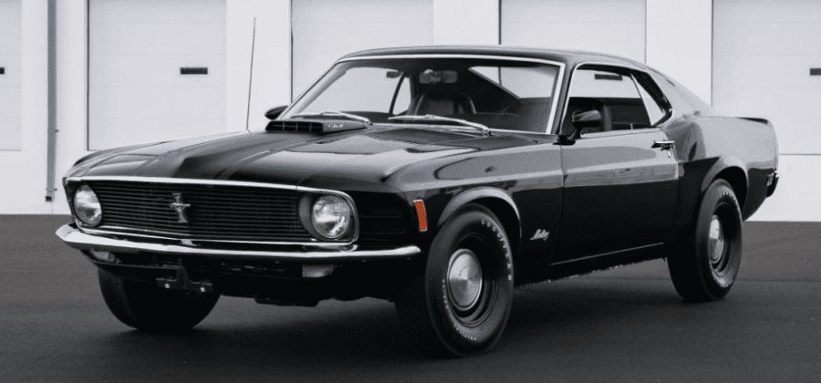 Raybuck Customer Loyalty Rewards Program